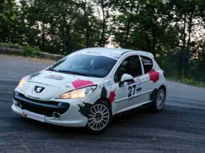 Peugeot 207 r3t - pièces et voitures de course à vendre, de rallye et ...