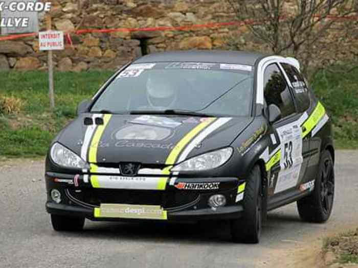 Vds 206 Rc A7 ou N3 - pièces et voitures de course à vendre, de rallye et de circuit.