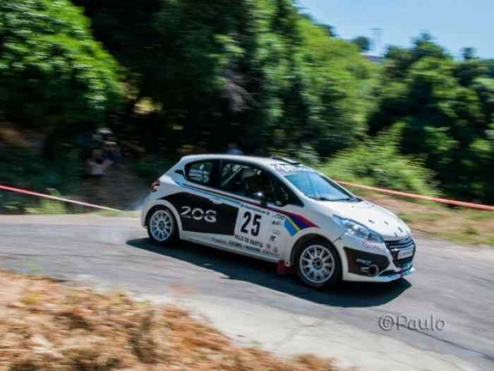 Peugeot 208 R2 - pièces et voitures de course à vendre, de rallye et de ...