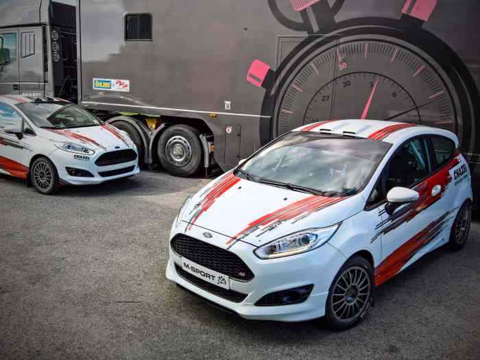 Ford Fiesta R2J - FFSA Junior - pièces et voitures de course à vendre ...