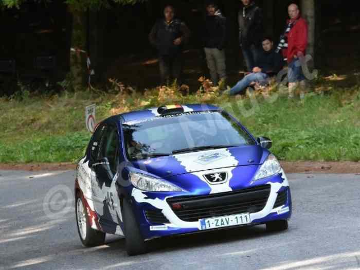 207 R3T EVO - pièces et voitures de course à vendre, de rallye et de ...