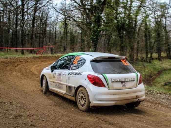 Location 207 R3T EVO - pièces et voitures de course à vendre, de rallye ...