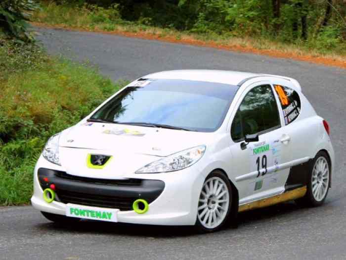 Location 207 R3T EVO - pièces et voitures de course à vendre, de rallye ...