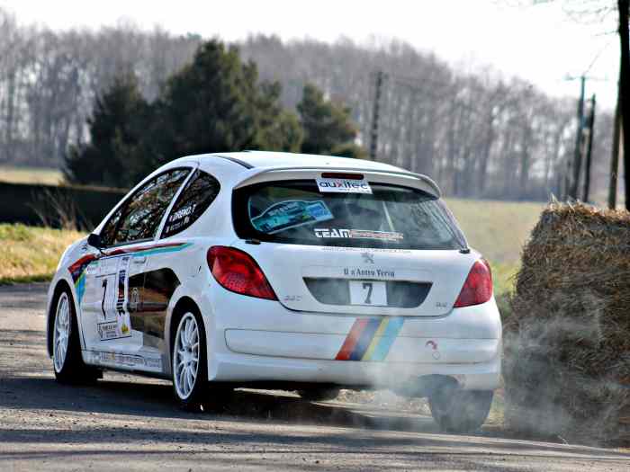 207 R3T MAX - pièces et voitures de course à vendre, de rallye et de ...