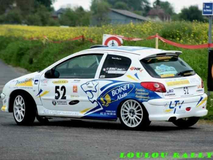 206 RC Top N3 - pièces et voitures de course à vendre, de rallye et de circuit.