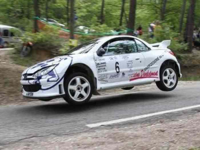 VDS 206CC MAXI F2014 - pièces et voitures de course à vendre, de rallye et de circuit.