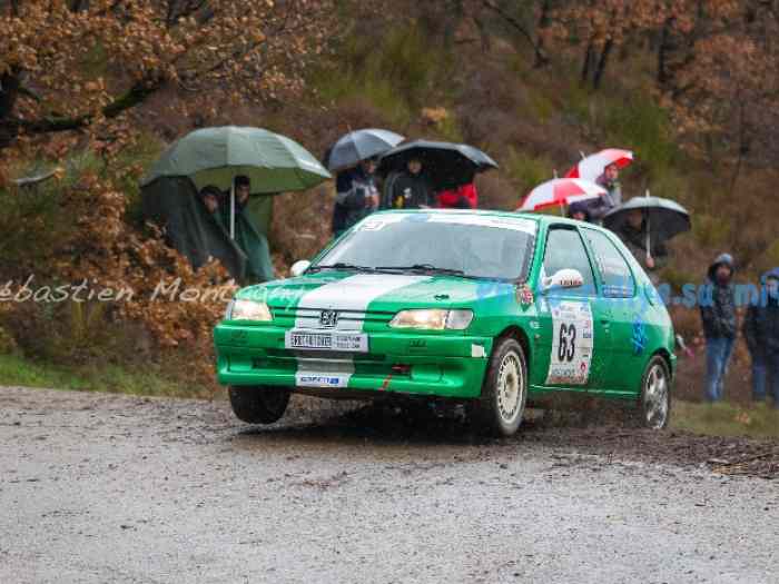 Peugeot 306 S16 Fa7 Pièces Et Voitures De Course à Vendre De Rallye