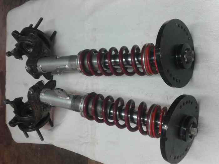 Amortisseurs 306 Gr A sur pivots PTS - pièces et voitures de course à ...