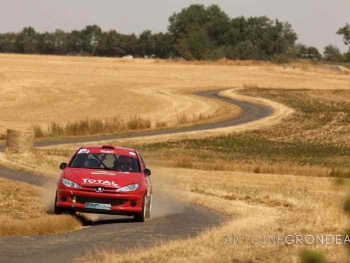 VDS 206 RC F2014 construite en 2018 - pièces et voitures de course à vendre, de rallye et de ...