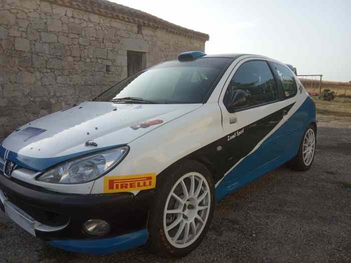 206 RC Top N3 - pièces et voitures de course à vendre, de rallye et de circuit.