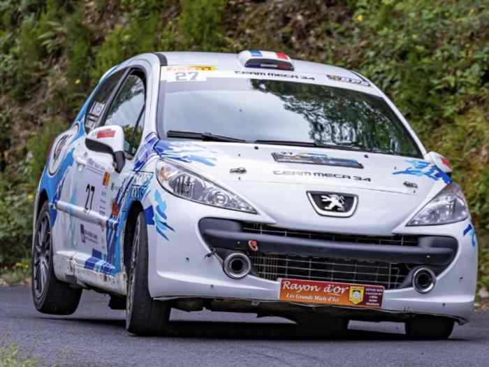 Peugeot 207 R3t - pièces et voitures de course à vendre, de rallye et ...