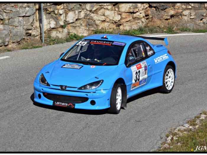 206 MAXI F2014 - pièces et voitures de course à vendre, de rallye et de circuit.