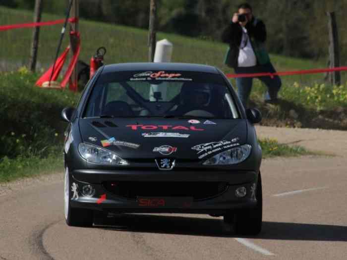 206 RC top N3 - pièces et voitures de course à vendre, de rallye et de circuit.