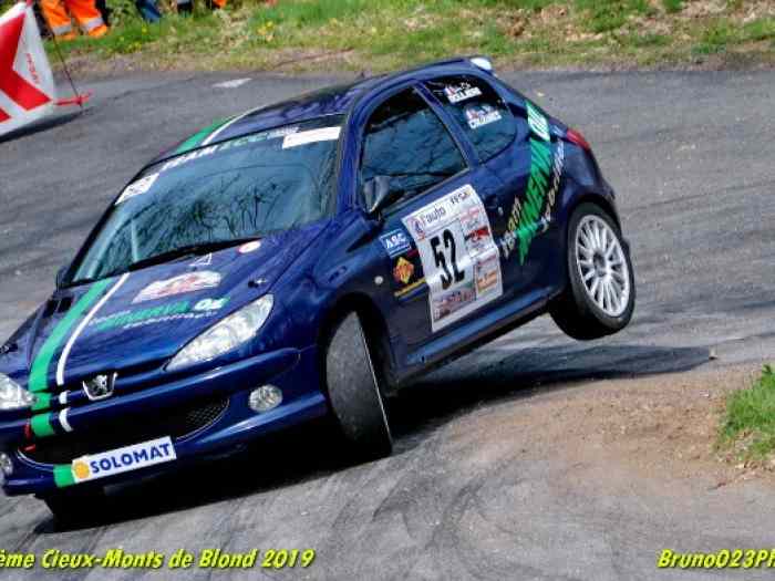 206 RC TOP N3 - pièces et voitures de course à vendre, de rallye et de circuit.