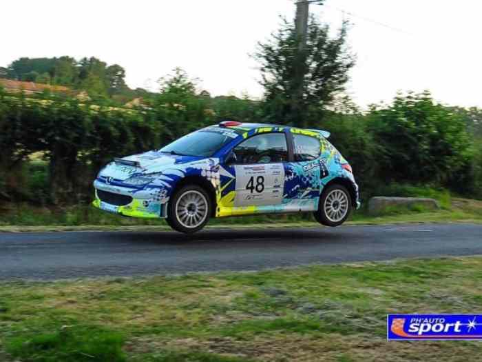 206 maxi F2014 - pièces et voitures de course à vendre, de rallye et de circuit.