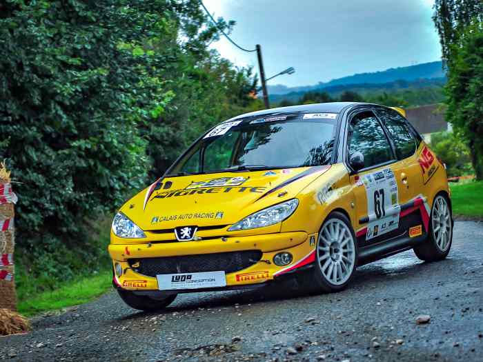 206 rc groupe N3 / A7 - pièces et voitures de course à vendre, de rallye et de circuit.