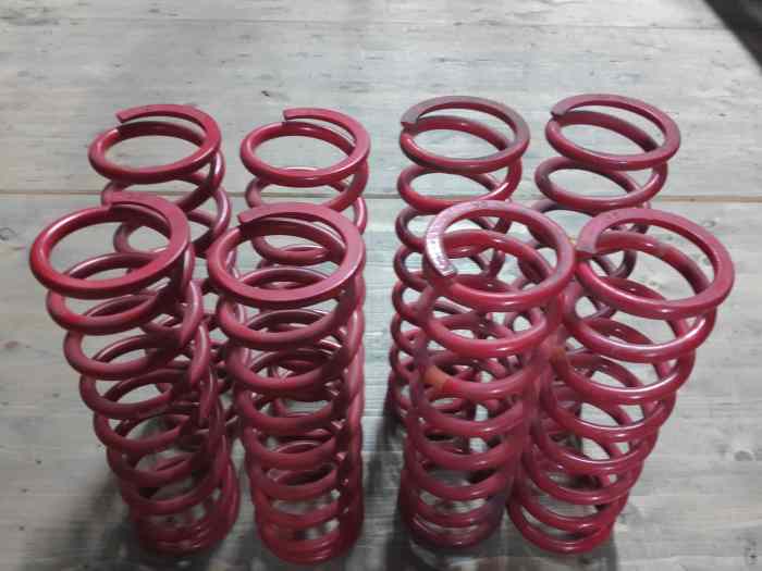 Ressorts Suspension Avant TERRE DS3 - Front GRAVEL Suspension Spring ...