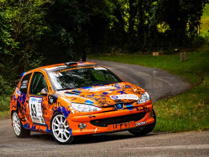 206 RC Groupe A / N3 - pièces et voitures de course à vendre, de rallye et de circuit.