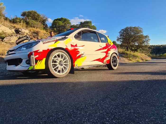 206 RC top n3 - pièces et voitures de course à vendre, de rallye et de circuit.