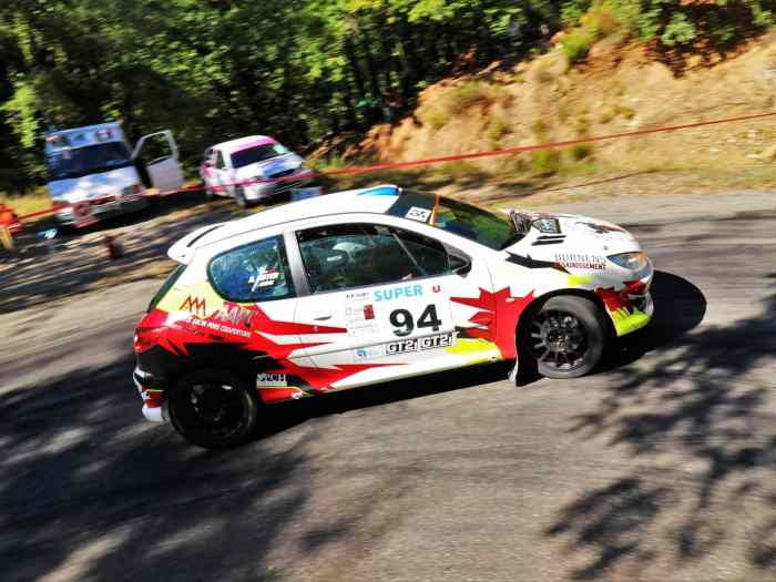 206 RC top n3 - pièces et voitures de course à vendre, de rallye et de circuit.