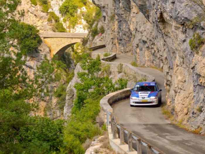 306 Gr Fa7 Pièces Et Voitures De Course à Vendre De Rallye Et De