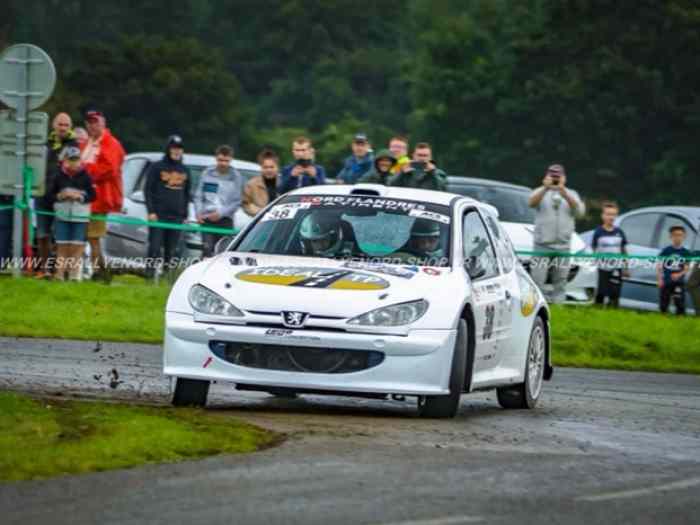 Peugeot 206 maxi F2014 - pièces et voitures de course à vendre, de rallye et de circuit.