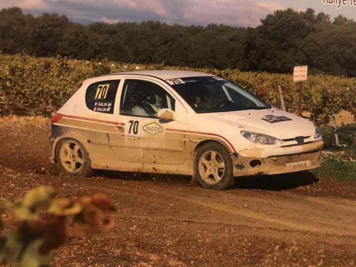 206 S16 rallye Terre - pièces et voitures de course à vendre, de rallye et de circuit.