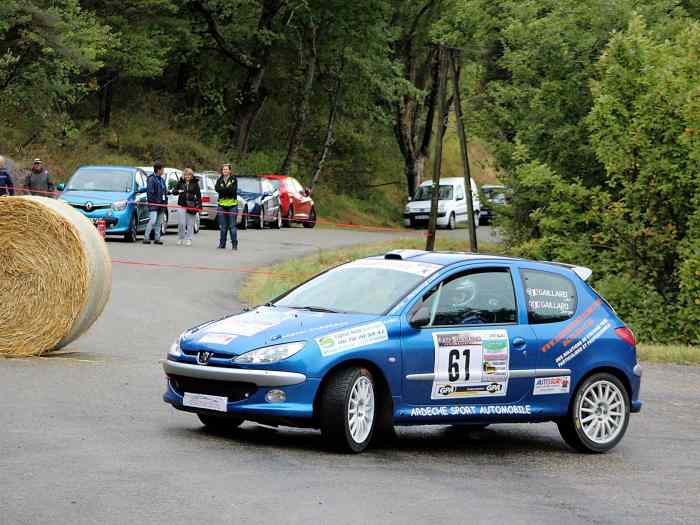 Peugeot 206 RC TOP N3 / Montage Peugeot Sport / Arceau Matter - pièces et voitures de course à ...