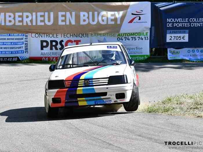 Vends Peugeot 205 rallye F2000/1 - pièces et voitures de course à ...