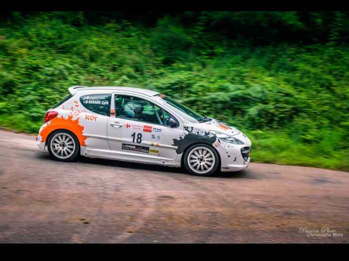 207 r3 - pièces et voitures de course à vendre, de rallye et de circuit.