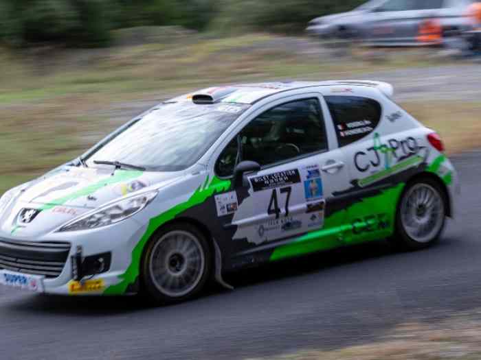 207 r3T - pièces et voitures de course à vendre, de rallye et de circuit.