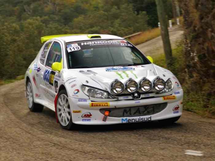 206 maxi - pièces et voitures de course à vendre, de rallye et de circuit.