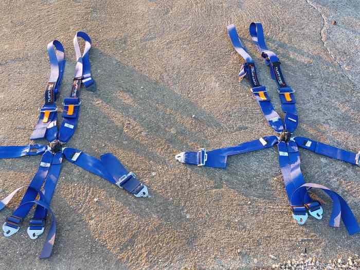 Harnais 6 points Turn One - pièces et voitures de course à vendre, de ...