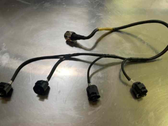 Faisceau moteur + injecteurs DS3R3 - pièces et voitures de course à vendre, de rallye et de circuit.