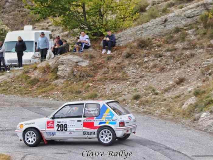 205 GTI1.9 maxi grA VHC - pièces et voitures de course à vendre, de ...