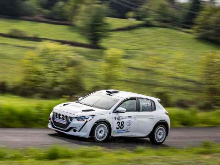 Peugeot 208 RC4 rally4 - pièces et voitures de course à vendre, de ...
