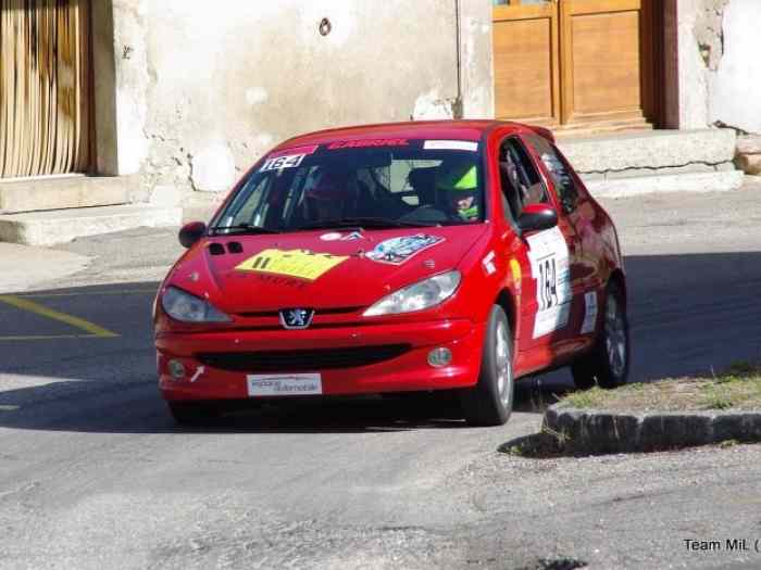 Peugeot 206 N2S - pièces et voitures de course à vendre, de rallye et de circuit.