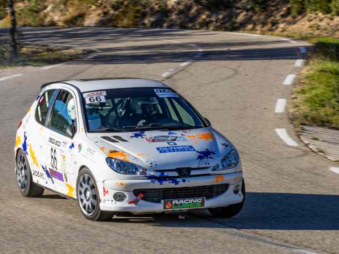 206 rc N3 - pièces et voitures de course à vendre, de rallye et de circuit.
