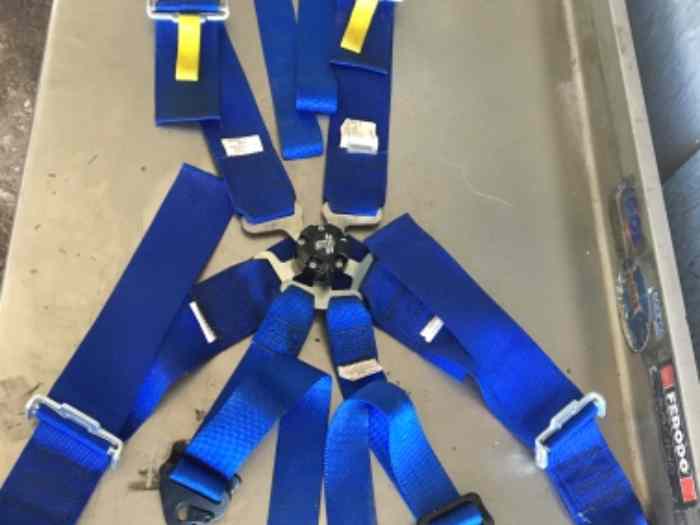 Harnais 6 points - pièces et voitures de course à vendre, de rallye et ...