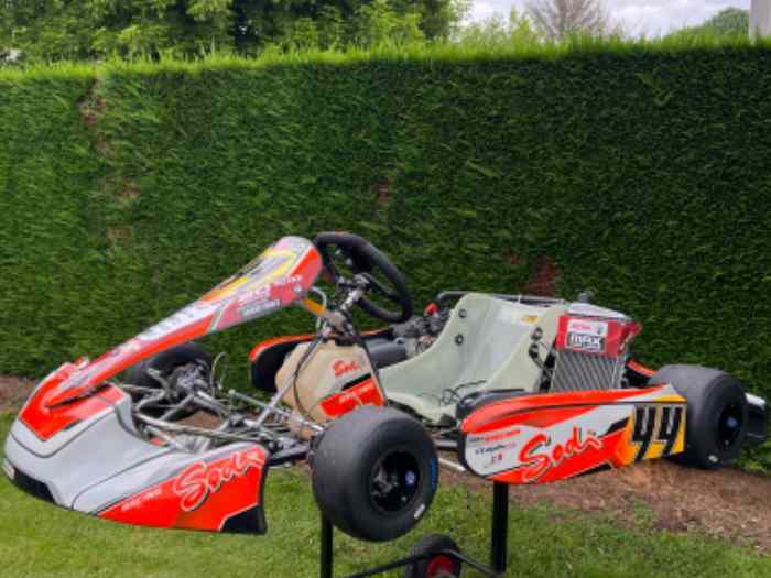 Sodikart DD2 evo 2020 Rotax édition limitée « 20 years grand finals ...